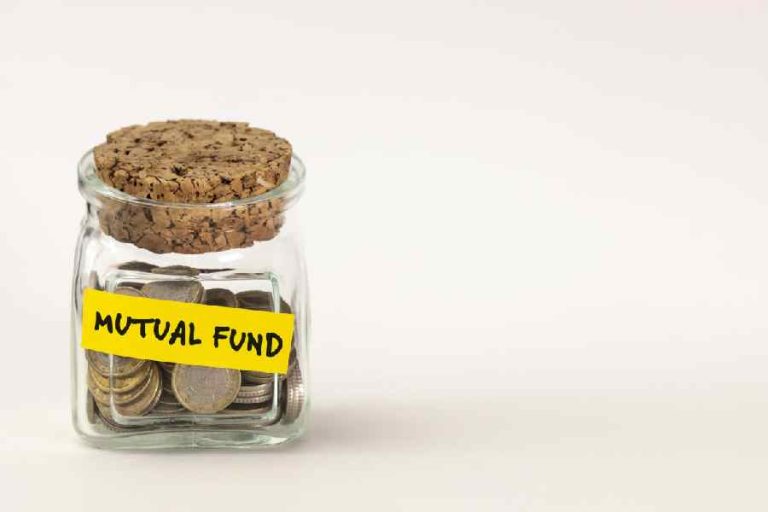 Franklin Templeton caps inflows into two overseas mutual fund schemes ...